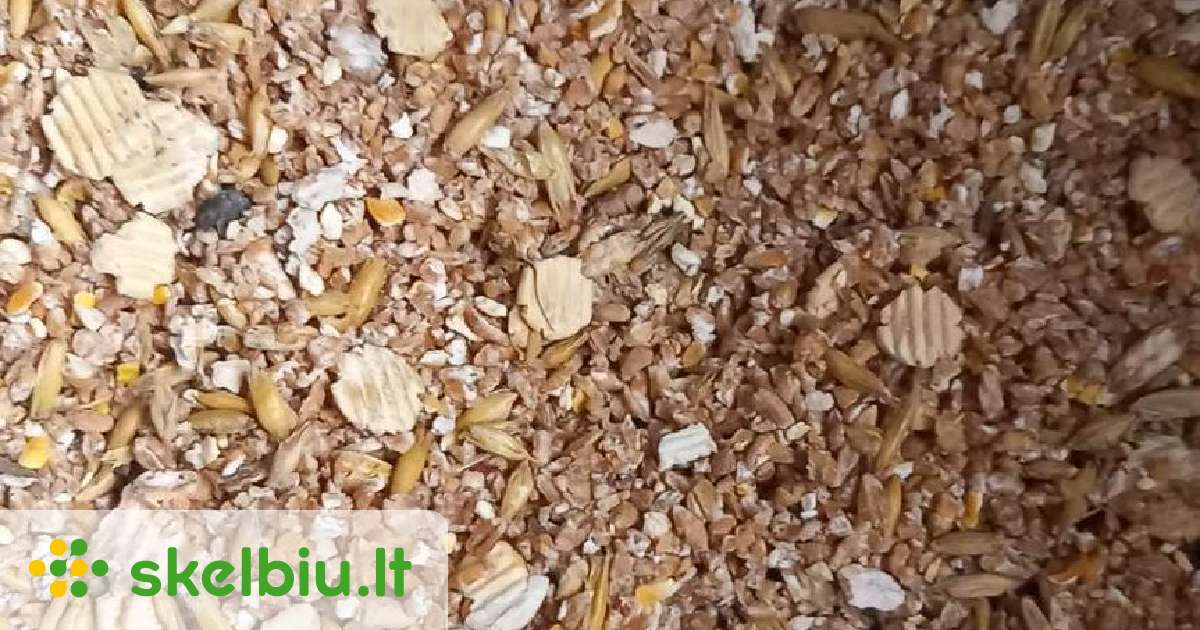 putpele skelbimai - Skelbiu.lt