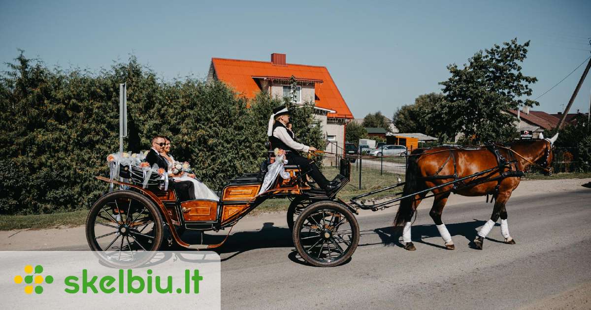 lydeti skelbimai - Skelbiu.lt
