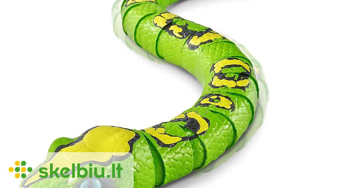 pitonas gyvate skelbimai - Skelbiu.lt