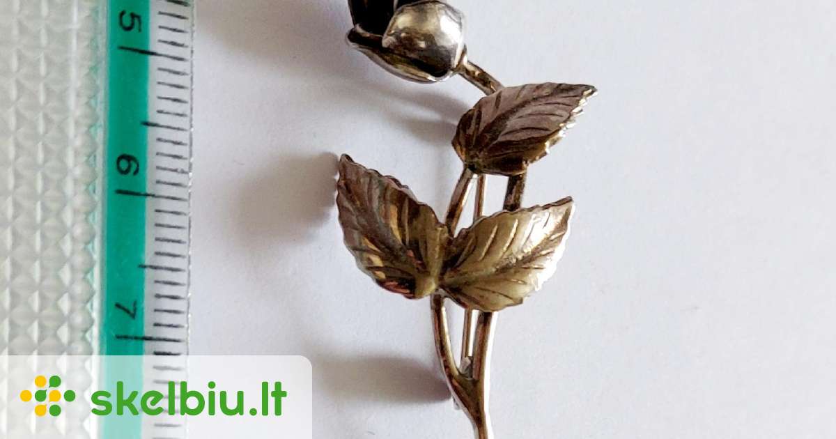 sidabras 925 skelbimai - Skelbiu.lt