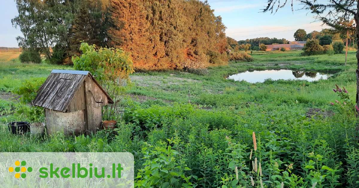 Sklypas, Molėtų r. Karklynės k. sklypas Nekilnojamo turto skelbimai ...