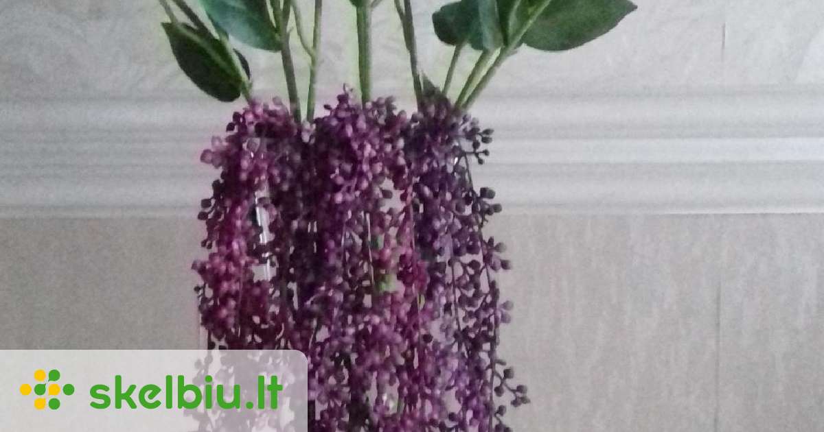 Dirbtinė kabanti šakelė - Skelbiu.lt