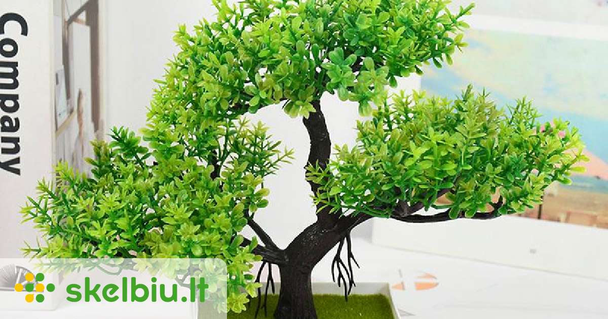Dekoratyvinis medelis Bonsai - Skelbiu.lt