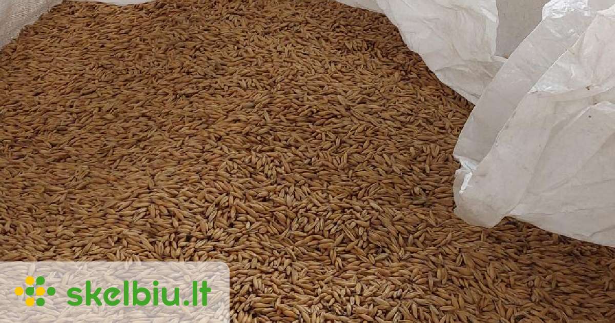 zirniu seklos skelbimai - Skelbiu.lt