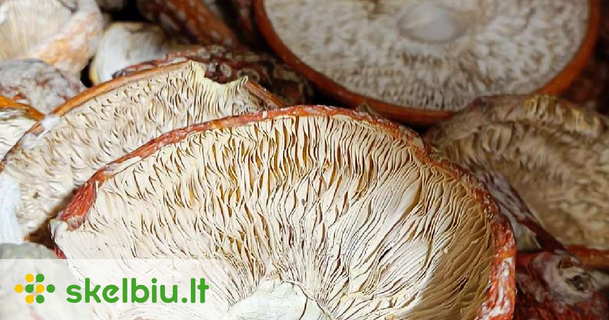 Dziovintos musmires kapsules milteliai ekstraktai - Skelbiu.lt