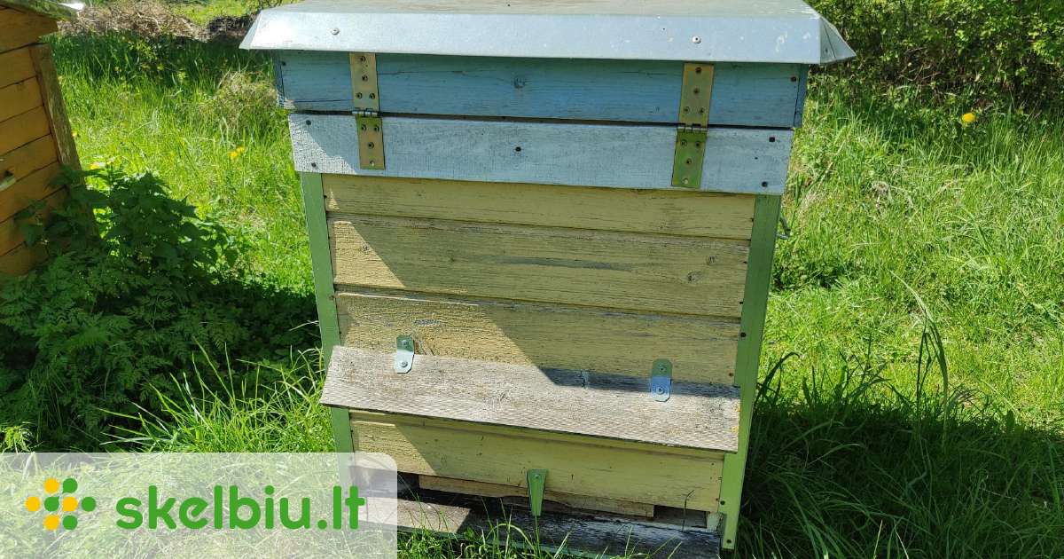 Parduodami aviliai - Skelbiu.lt