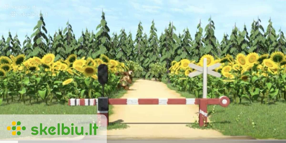 Juodos smulkios saulegrazos 1eur/kg - Skelbiu.lt