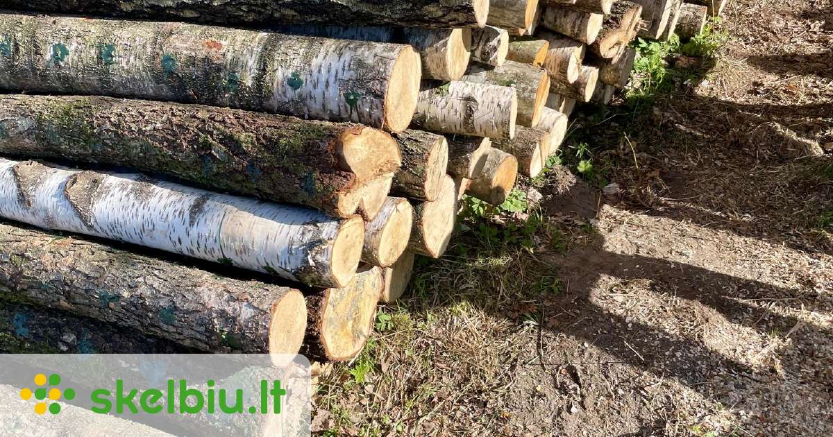 Shiitake grybai, Žemaitija, Pajūrio kraštas - Skelbiu.lt