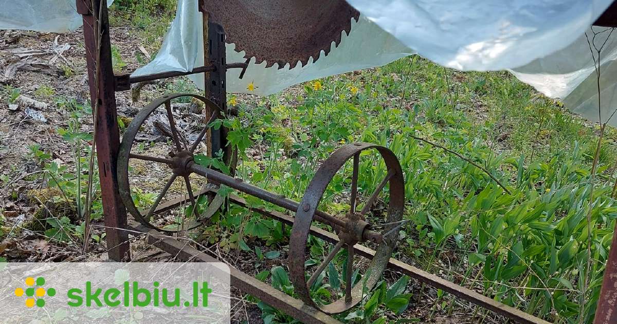 Zeimeris - Skelbiu.lt