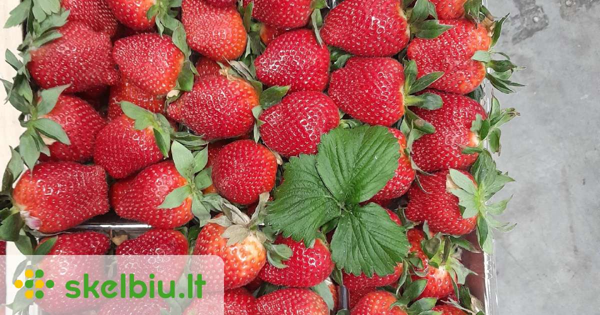 darzoviu sandelis skelbimai - Skelbiu.lt