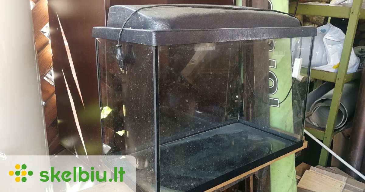 Gal kam atsibodo Akvariumas ir atiduodate - Skelbiu.lt