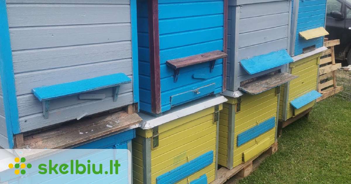 Aviliai - Skelbiu.lt