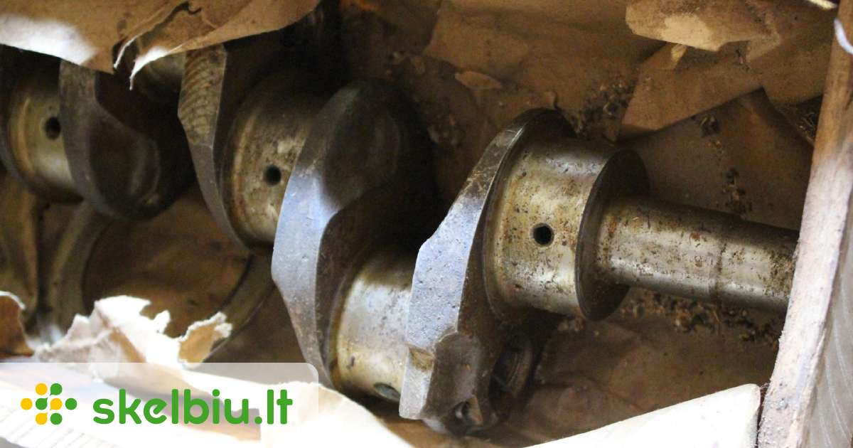 alkuninis velenas skelbimai - Skelbiu.lt