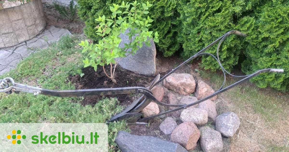 Dekoratyvinis plugas - Skelbiu.lt