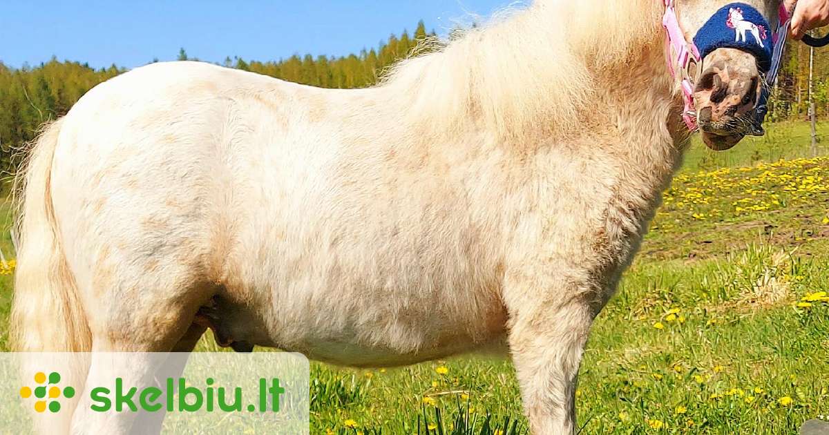 flora fauna arkliai zirgai skelbimai - Skelbiu.lt