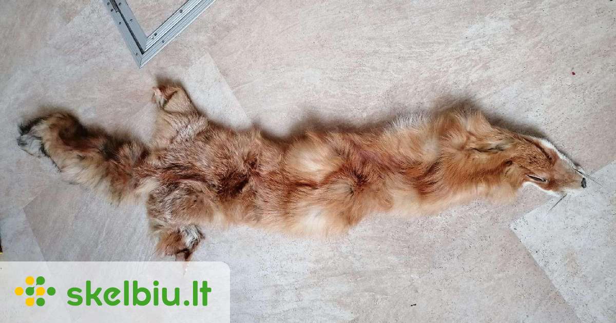 Natūralus kailiai kailiukai - Skelbiu.lt