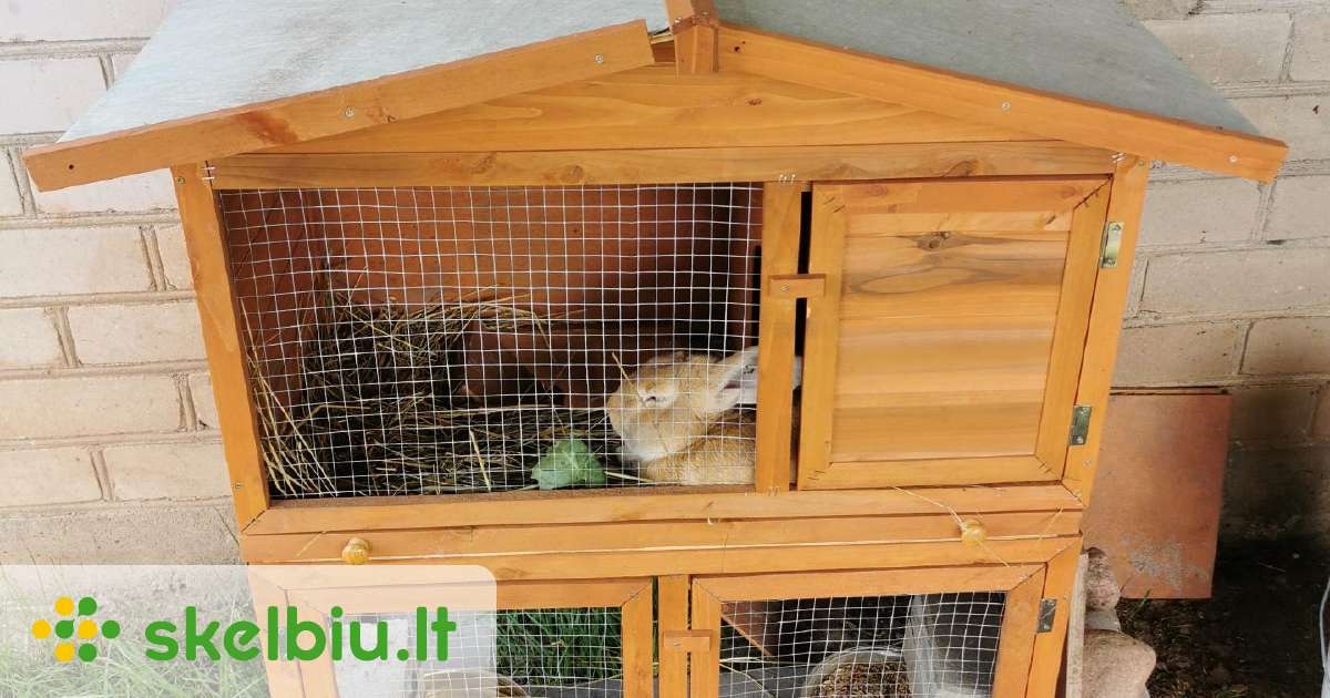 Triušio namelis - Skelbiu.lt