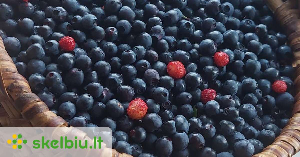 Mėlynių krepšelis - Skelbiu.lt