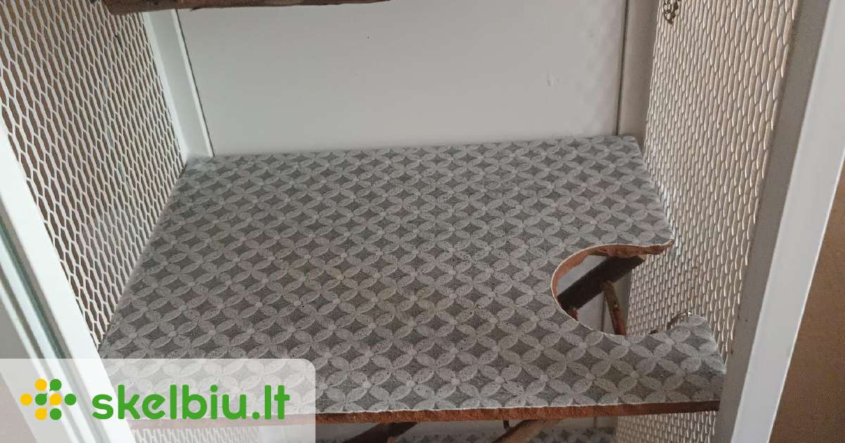 Žiurkės narvas - Skelbiu.lt