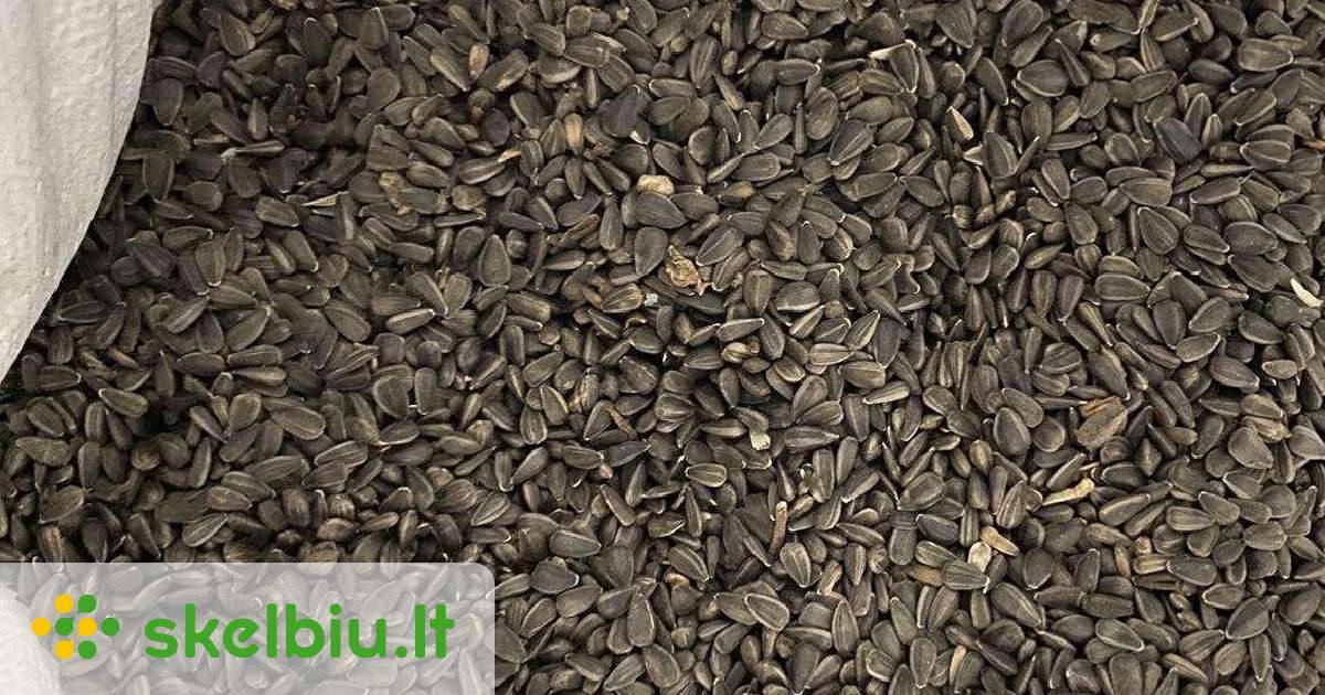 Juodos smulkios saulegrazos - Skelbiu.lt