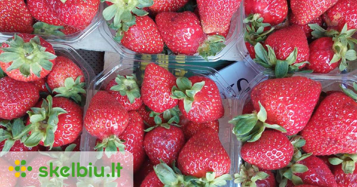 Braskes - Skelbiu.lt