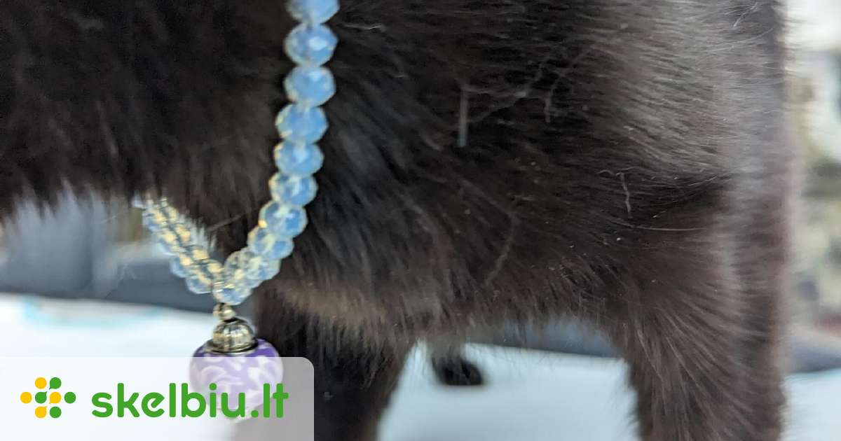 Naminio gyvūno kaklo papuošalas - Skelbiu.lt