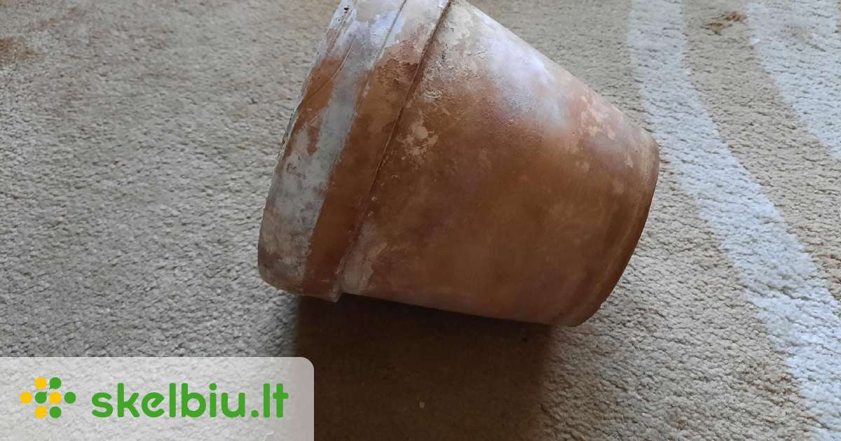 Senas molinis vazonas - Skelbiu.lt