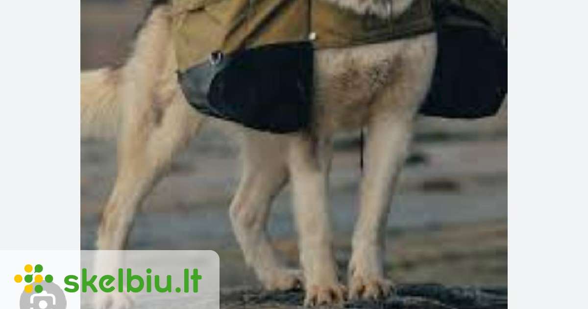Laika firmos krepsiai suniui/augintiniui - Skelbiu.lt