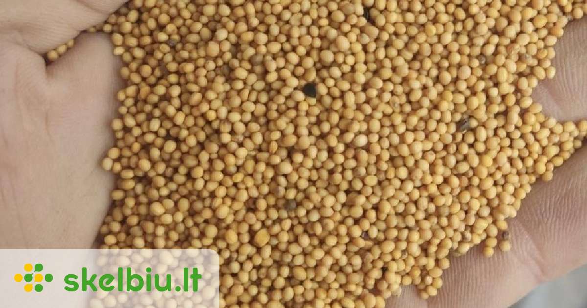 garstyciu ridiku alytaus r skelbimai - Skelbiu.lt