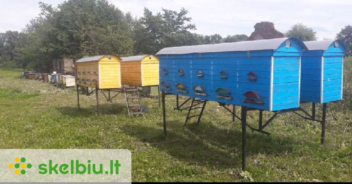 meduviniai remeliai anyksciu r skelbimai - Skelbiu.lt