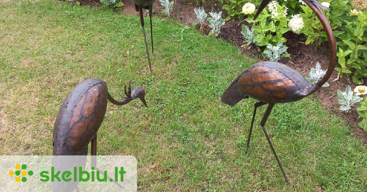 Gervės - Skelbiu.lt