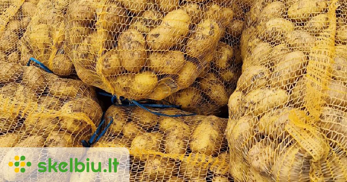 Parduodame Bulves (Valgomos, Pašarinės) - Skelbiu.lt