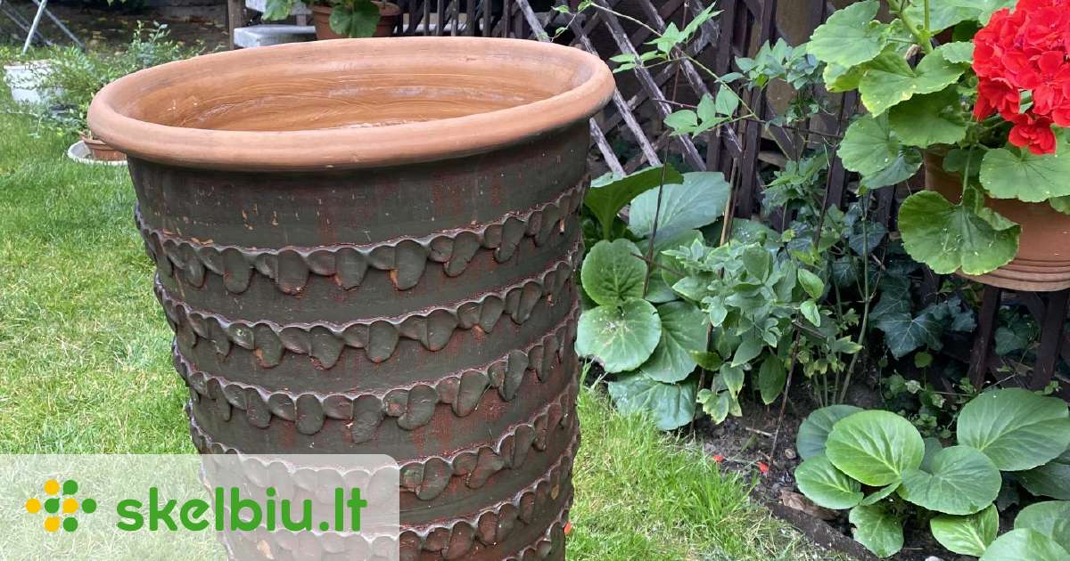 Dielis molinis vazonas - Skelbiu.lt