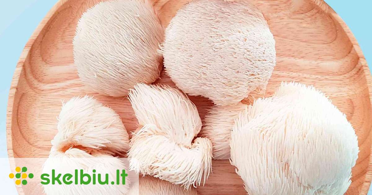 Ežiukas grybas – numestas gamykloje. - Skelbiu.lt