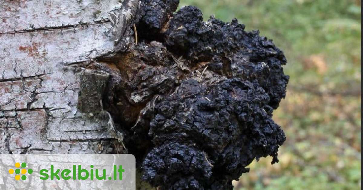 chromo papildai skelbimai - Skelbiu.lt