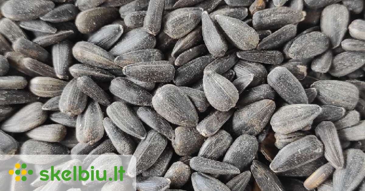 Juodosios saulėgrąžos žalinimui - Skelbiu.lt