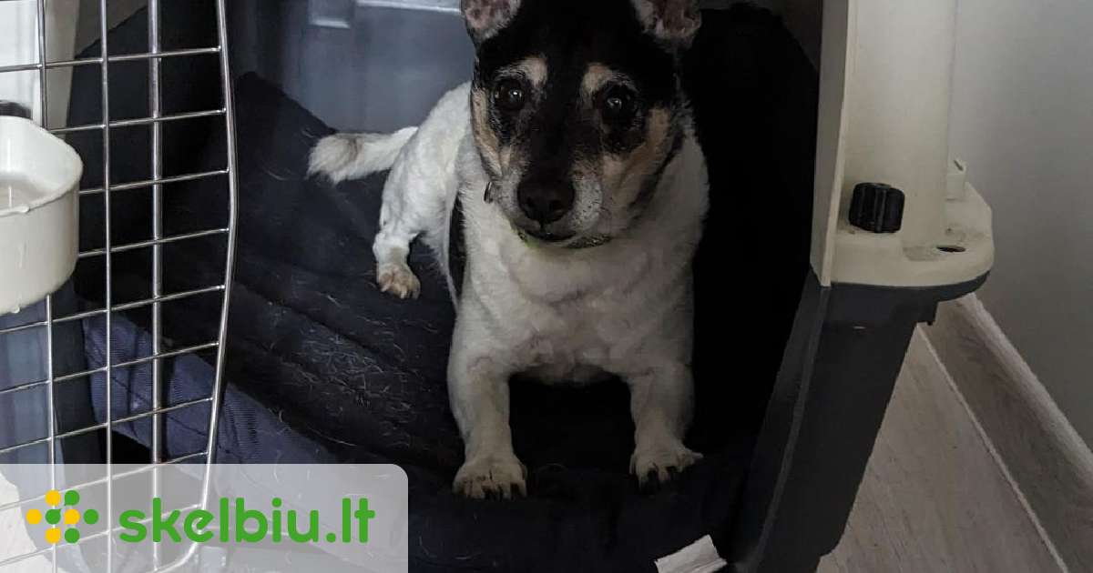 Transportavimo narvas šuniui - Skelbiu.lt