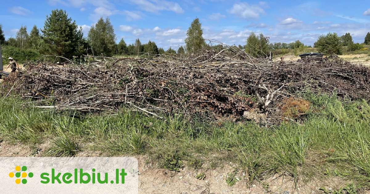 Dovanoju mediena - Skelbiu.lt