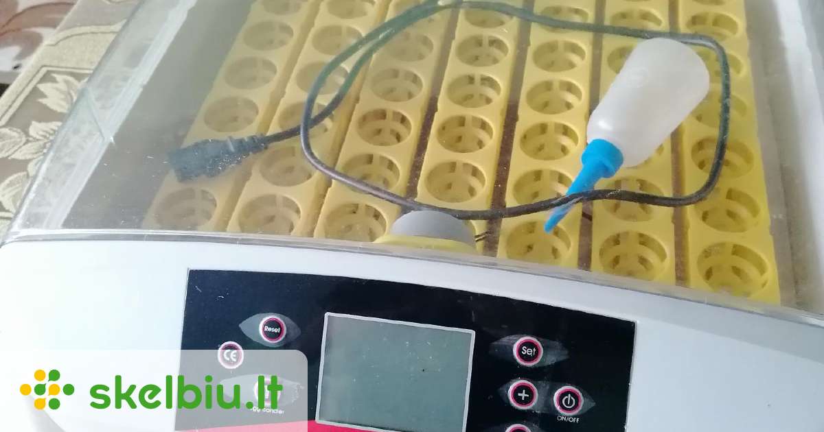 inkubatorius automatinis skelbimai - Skelbiu.lt