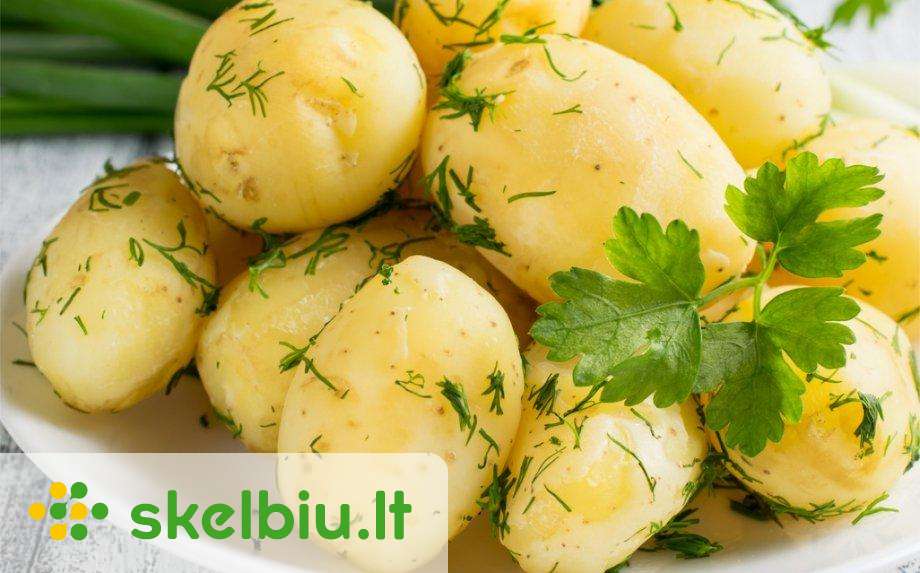 ekologiskos bulves vilnius skelbimai - Skelbiu.lt