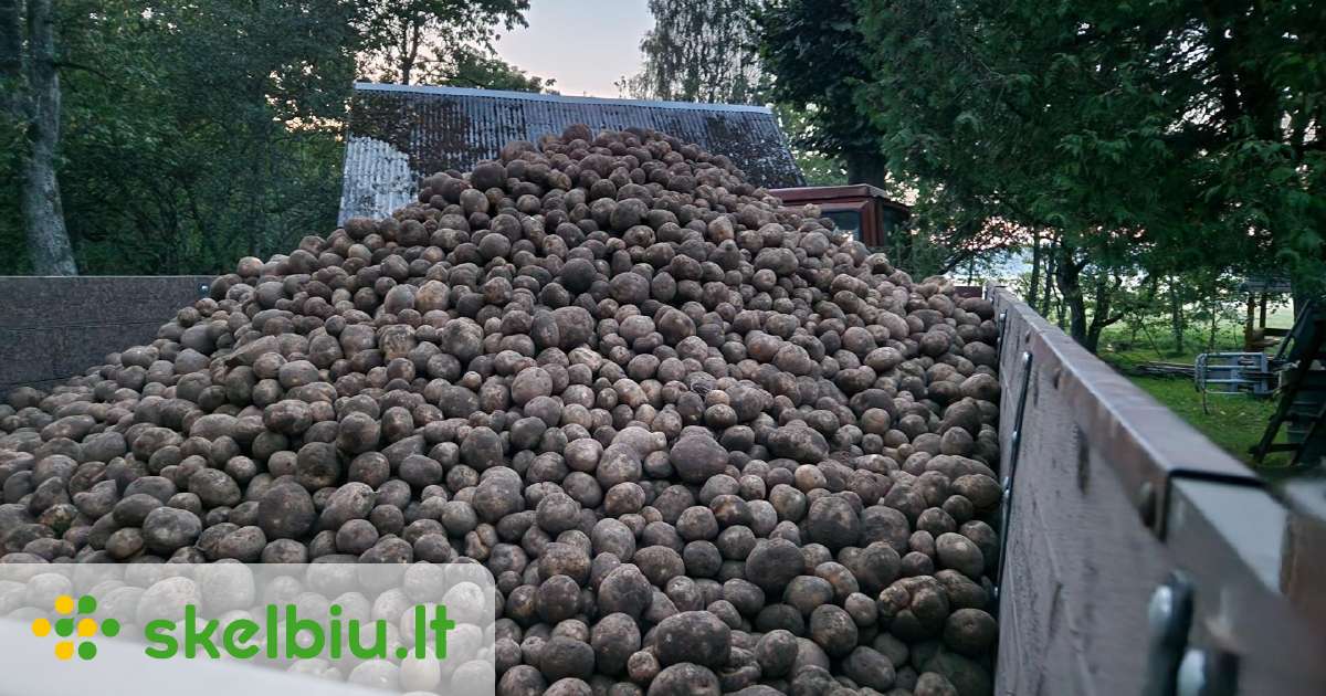 parduodu bulves klaipeda skelbimai - Skelbiu.lt