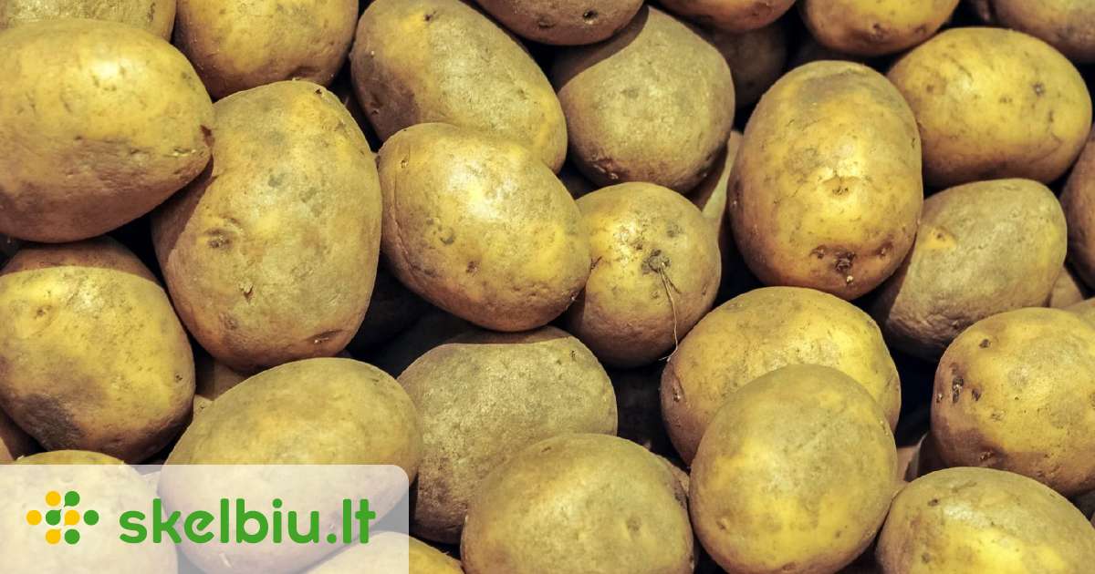 bulves sviezias skelbimai - Skelbiu.lt
