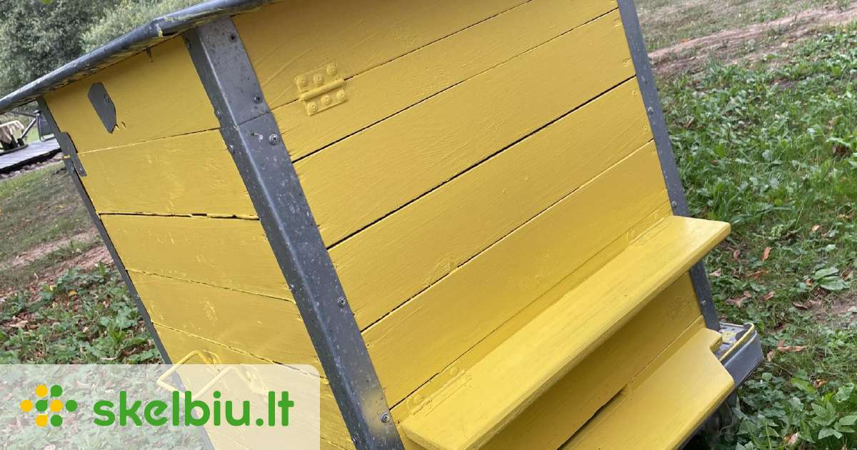 Dadano avilys naudotas - Skelbiu.lt