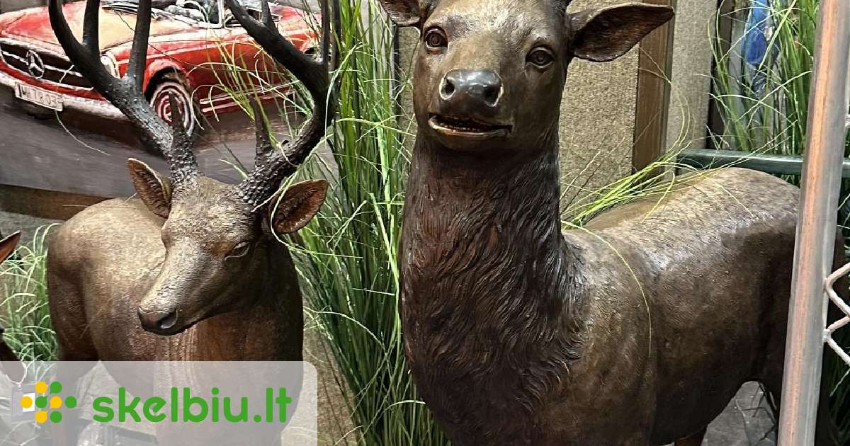 Sodo statulos bronzuotos - Skelbiu.lt