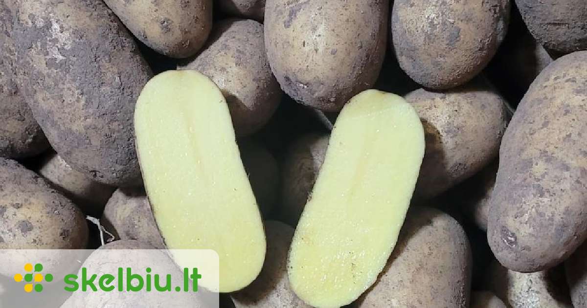Bulvės į namus - Skelbiu.lt