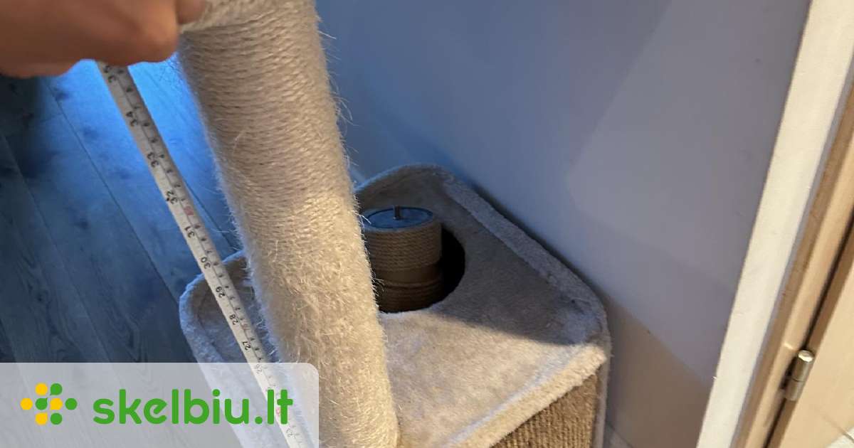 katino draskykle panevezys skelbimai - Skelbiu.lt