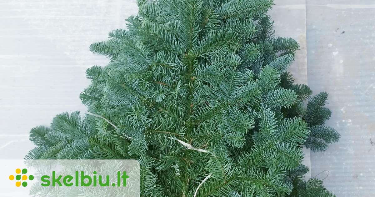 nobilis skelbimai - Skelbiu.lt