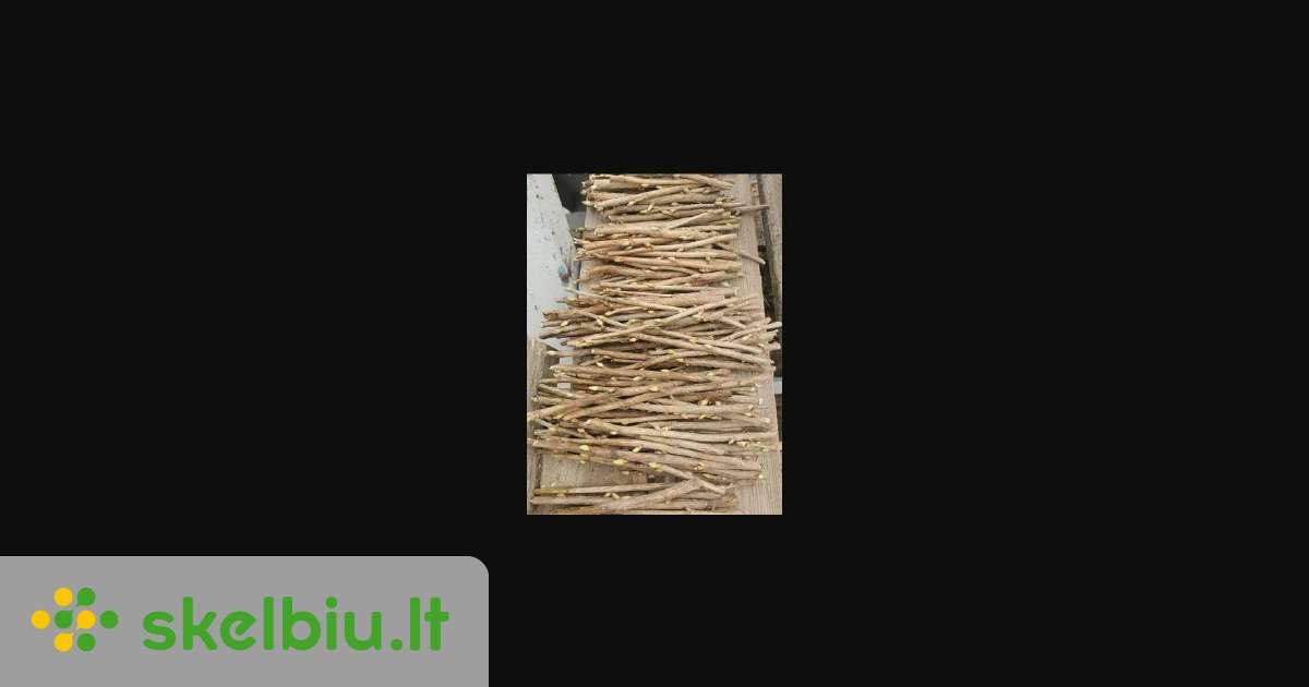 aronijos uogos skelbimai - Skelbiu.lt