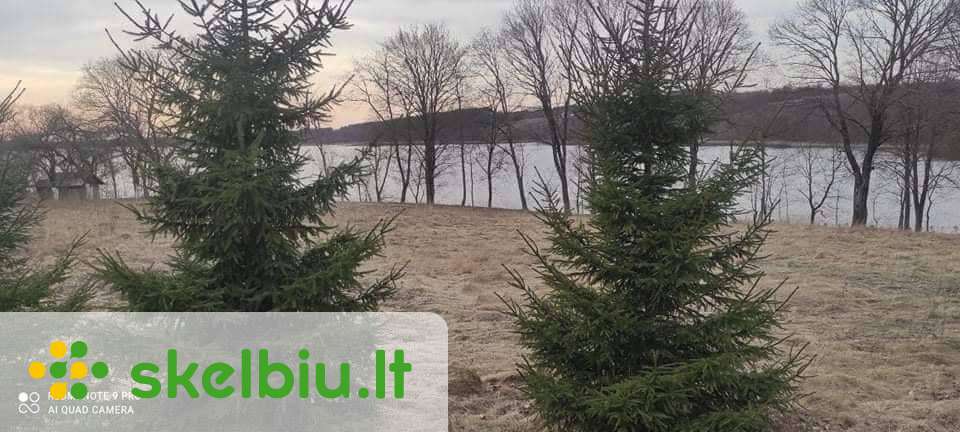 Sklypas, Kaišiadorių r. Kalvių k. sklypas Nekilnojamo turto skelbimai ...