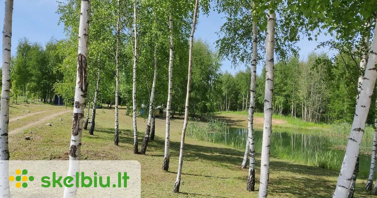 Lynų mailius 7-12cm - Skelbiu.lt